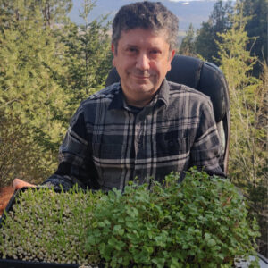 How to Sprout Sunflower | Microgreens and Sprouts