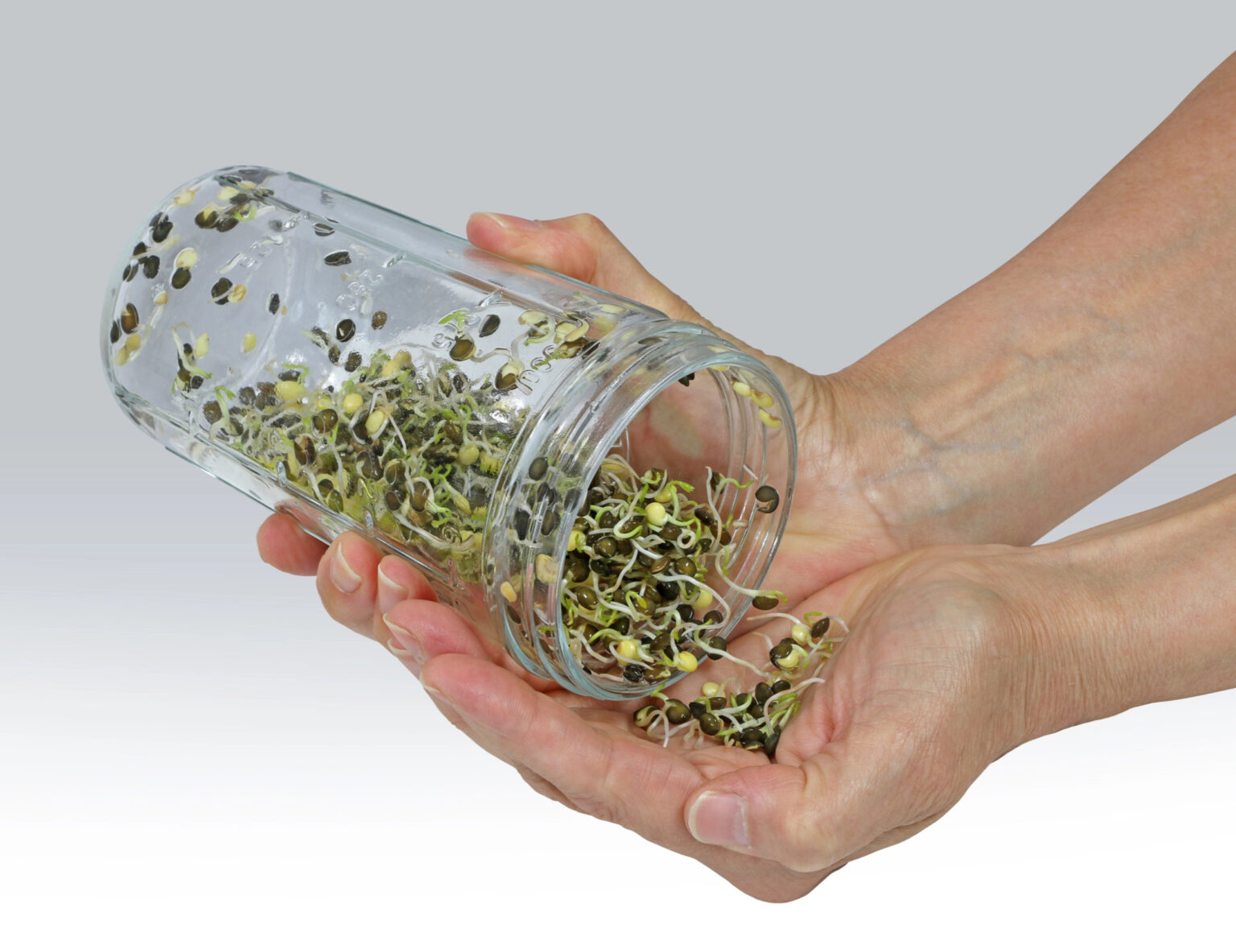 Step-by-Step Guide to Growing Sprouts at Home - Microgreens and Sprouts